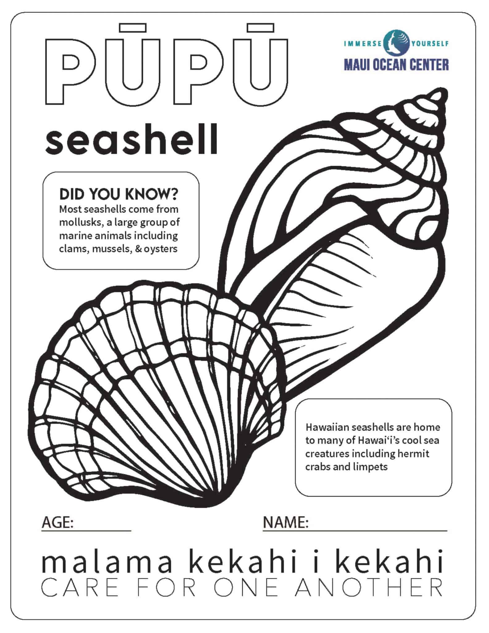 Ocean Education For Kids | Maui Ocean Center