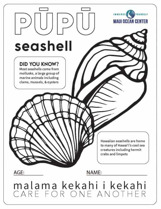 Ocean Education For Kids | Maui Ocean Center