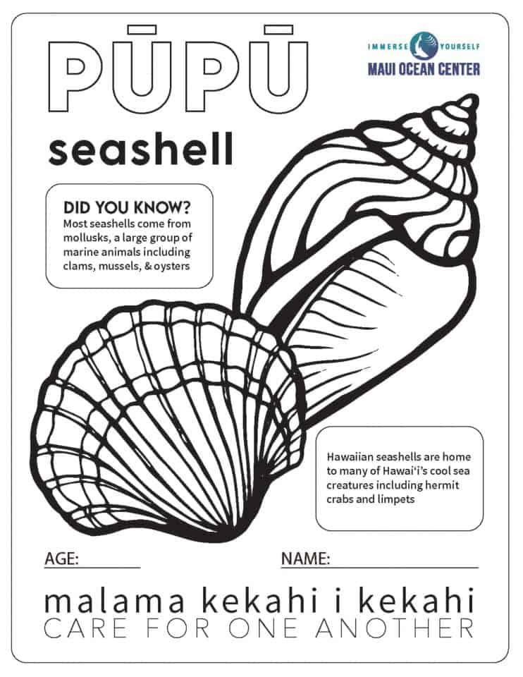 Ocean Education For Kids | Maui Ocean Center