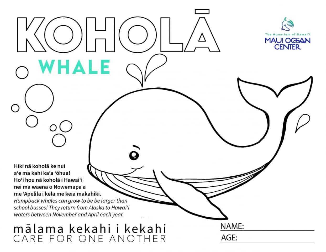 Ocean Education For Kids | Maui Ocean Center