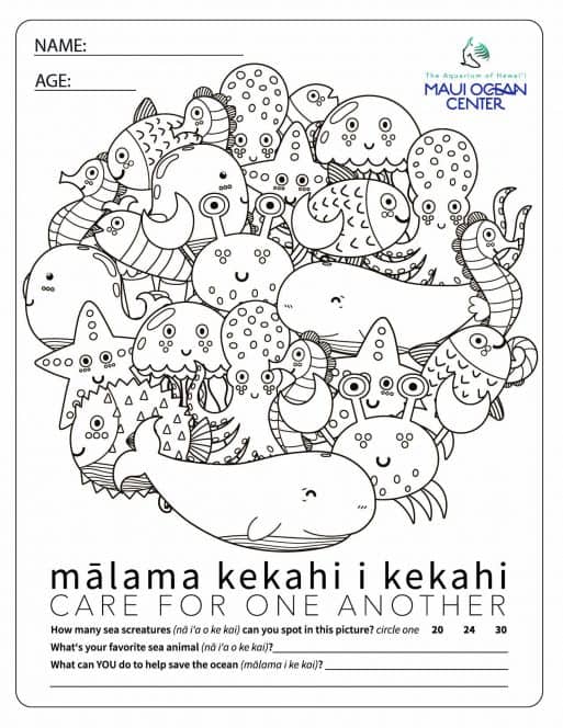 Ocean Education For Kids | Maui Ocean Center