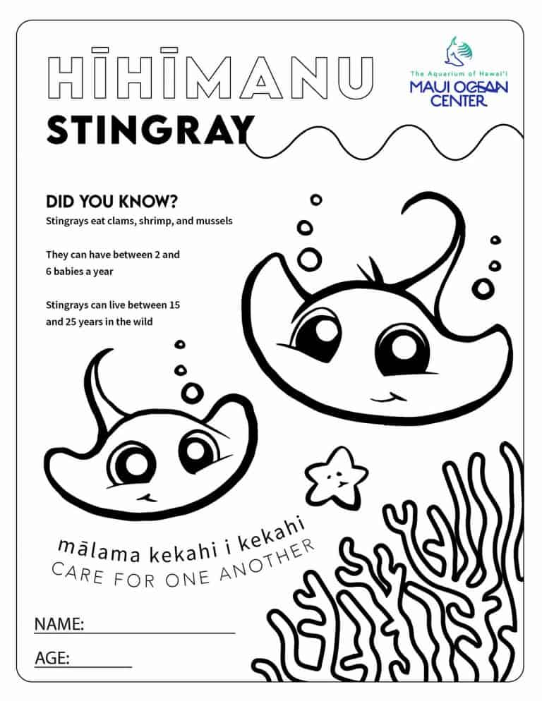 Ocean Education For Kids | Maui Ocean Center