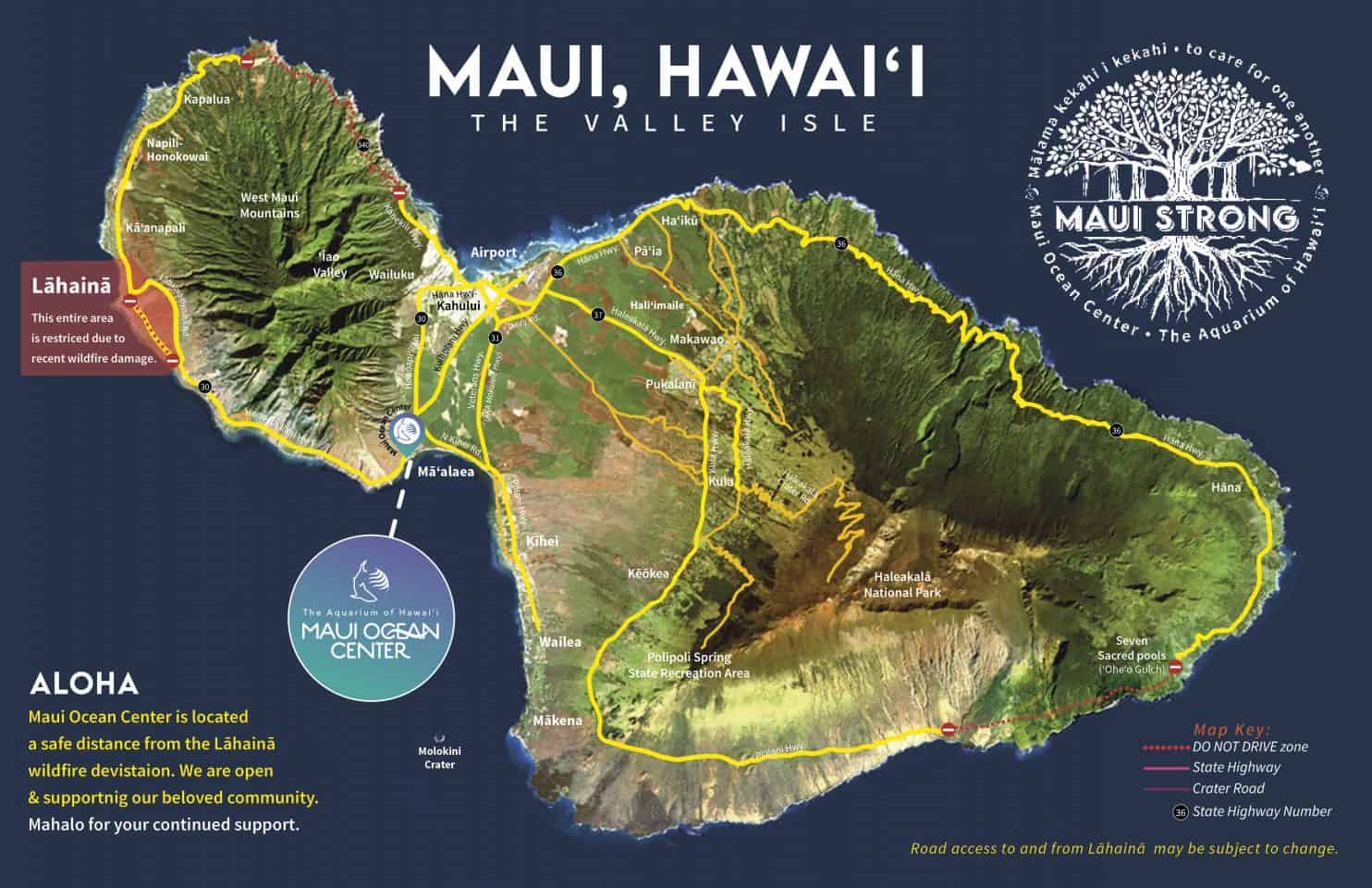 Maui is Open to Respectful Visitors - Maui Ocean Center