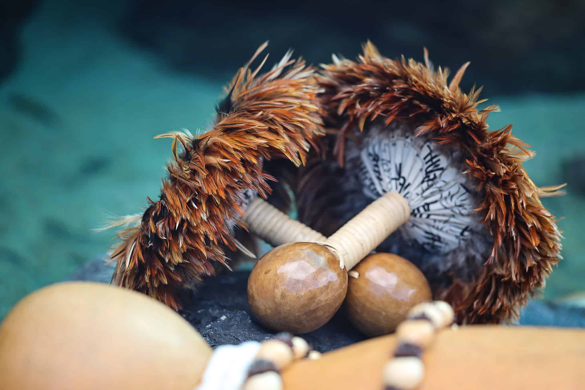 Hula Implements Canoe Plants | Maui Ocean Center