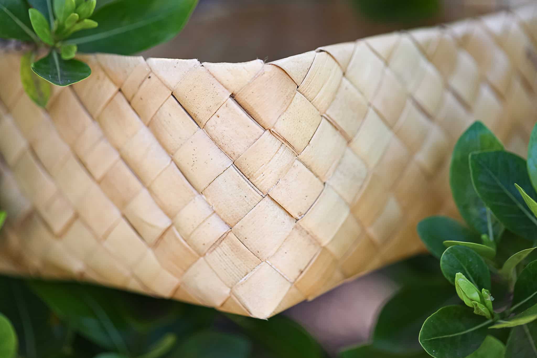 Weaving Canoe Plants | Maui Ocean Center